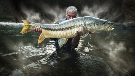 Animal Planet Shows - Watch Now for FREE!