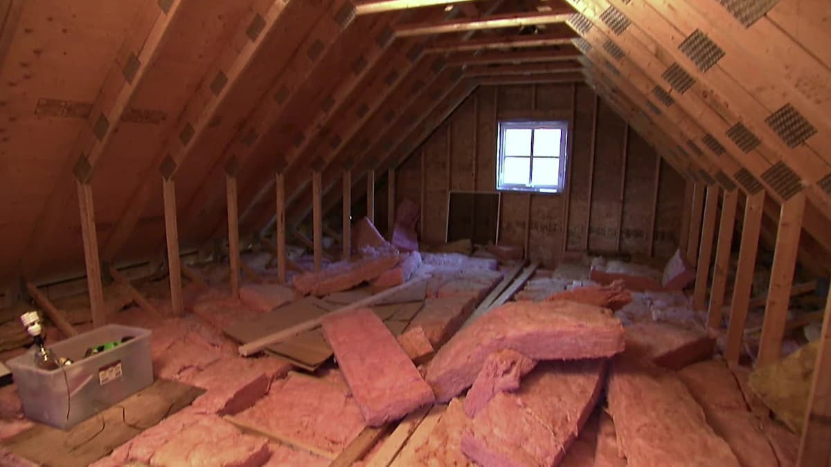 Attic Attack | Love It or List It