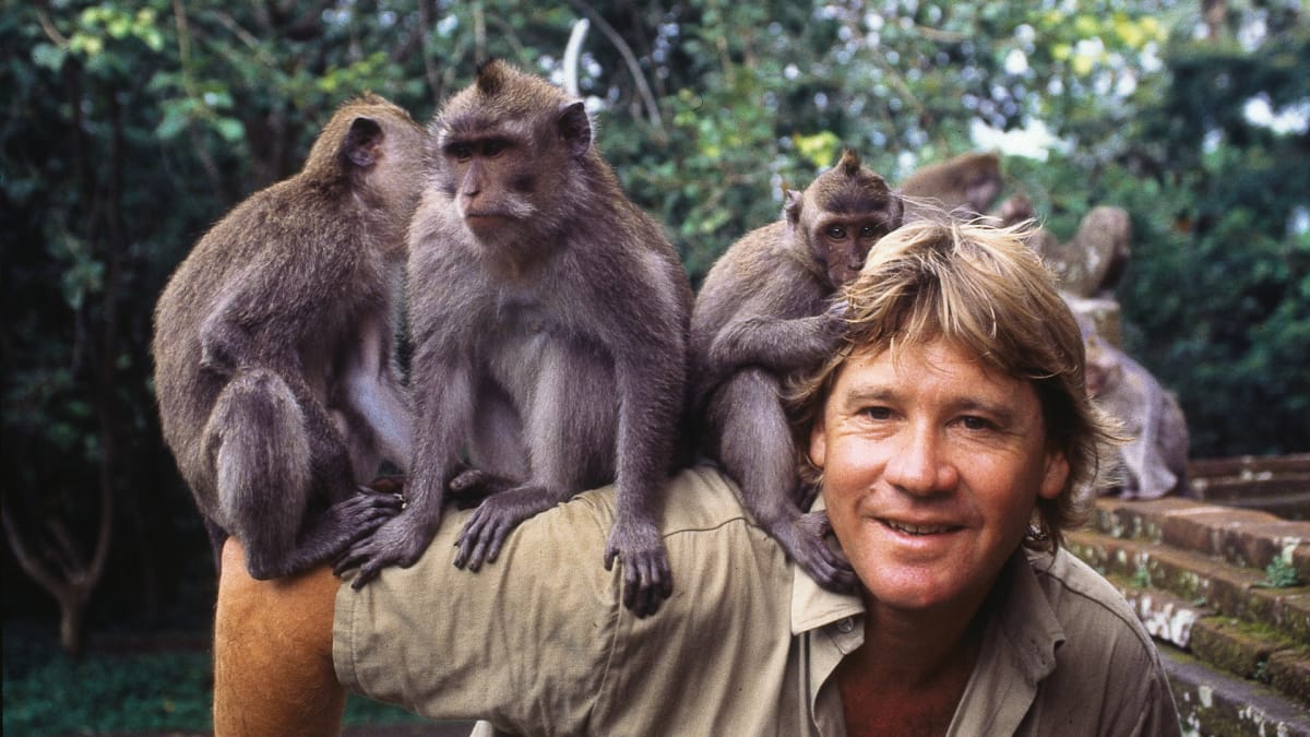 Steve's Story | The Crocodile Hunter