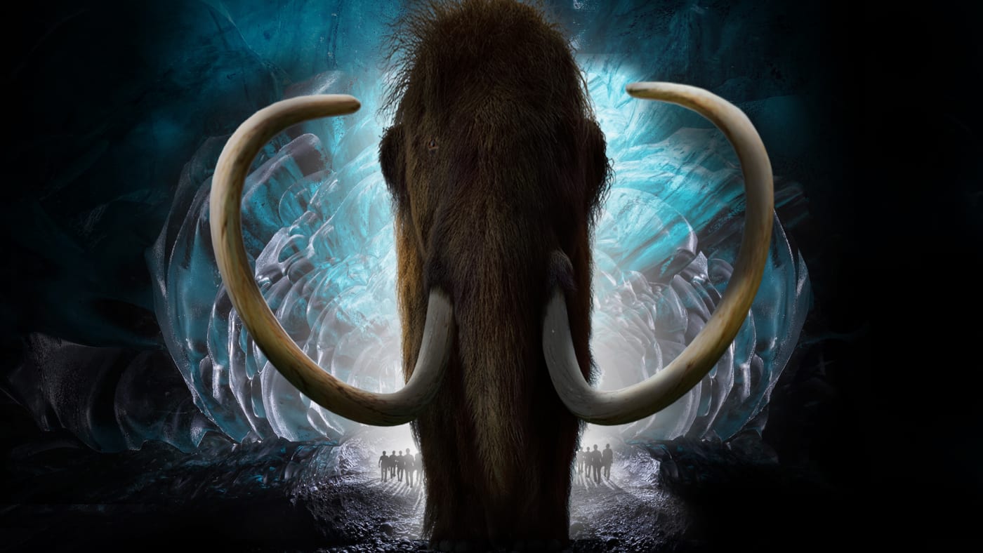 Discovery - Official Site