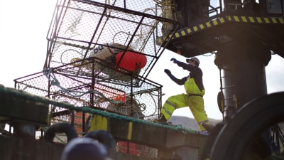 Discovery - Official Site