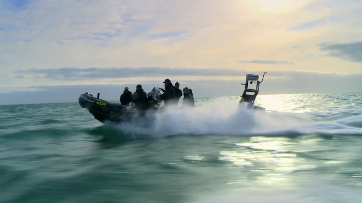 The Great Shark Chase | The Great Shark Chase