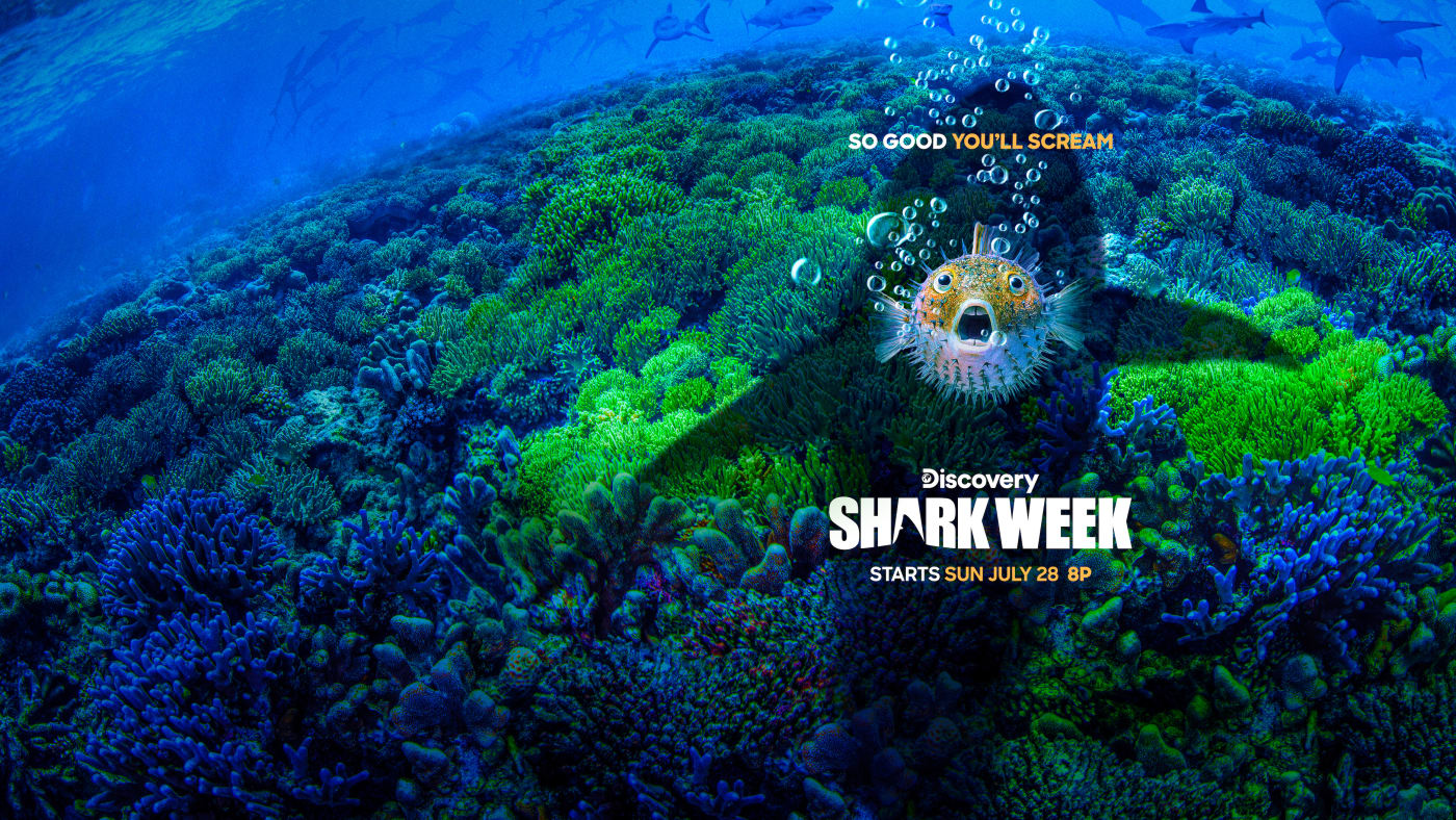 Discovery - Official Site