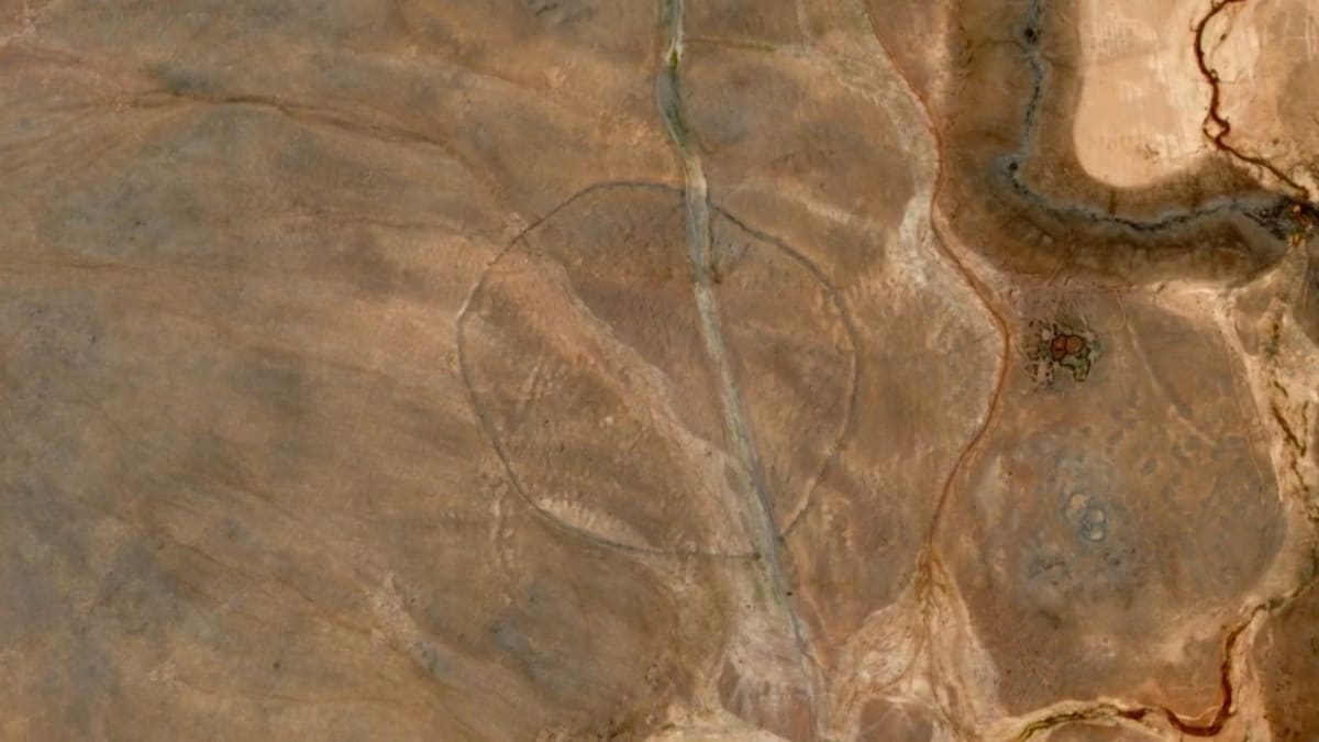 Terror of the Ice Snake | What on Earth?