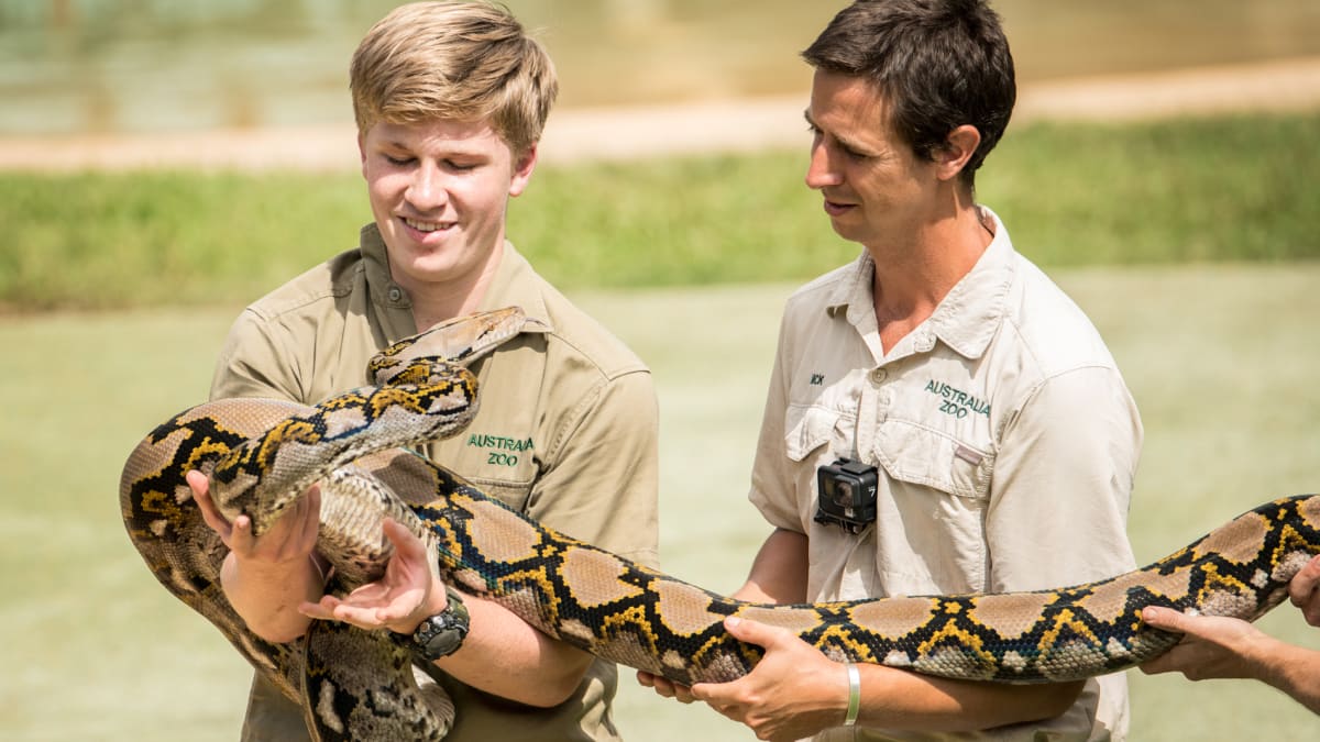 Robert's Python Swim | Crikey! It's the Irwins