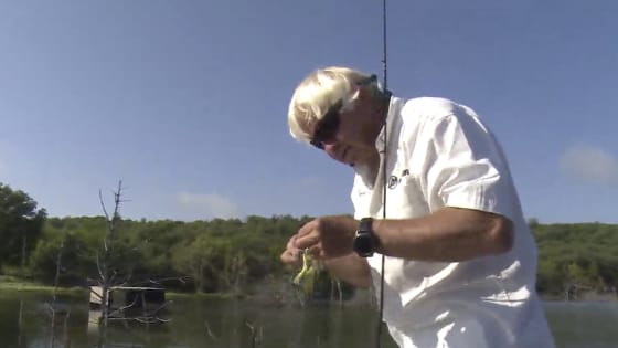 Discovery TV Schedule | Watch Now for FREE!