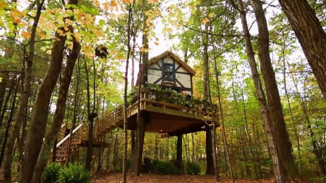 Santa's Workshop - Treehouse Masters | Animal Planet