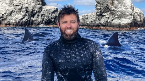 Discovery Shows - Watch Now for FREE!